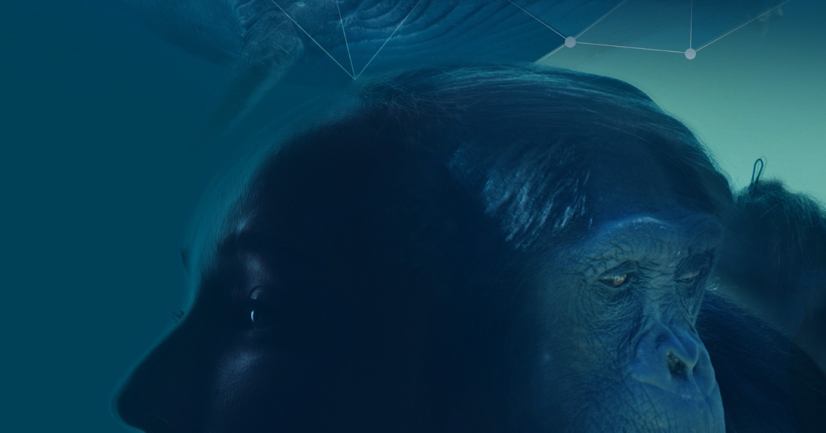 What Makes Us Human? – Humans are unique. Or so we like to think. But ...